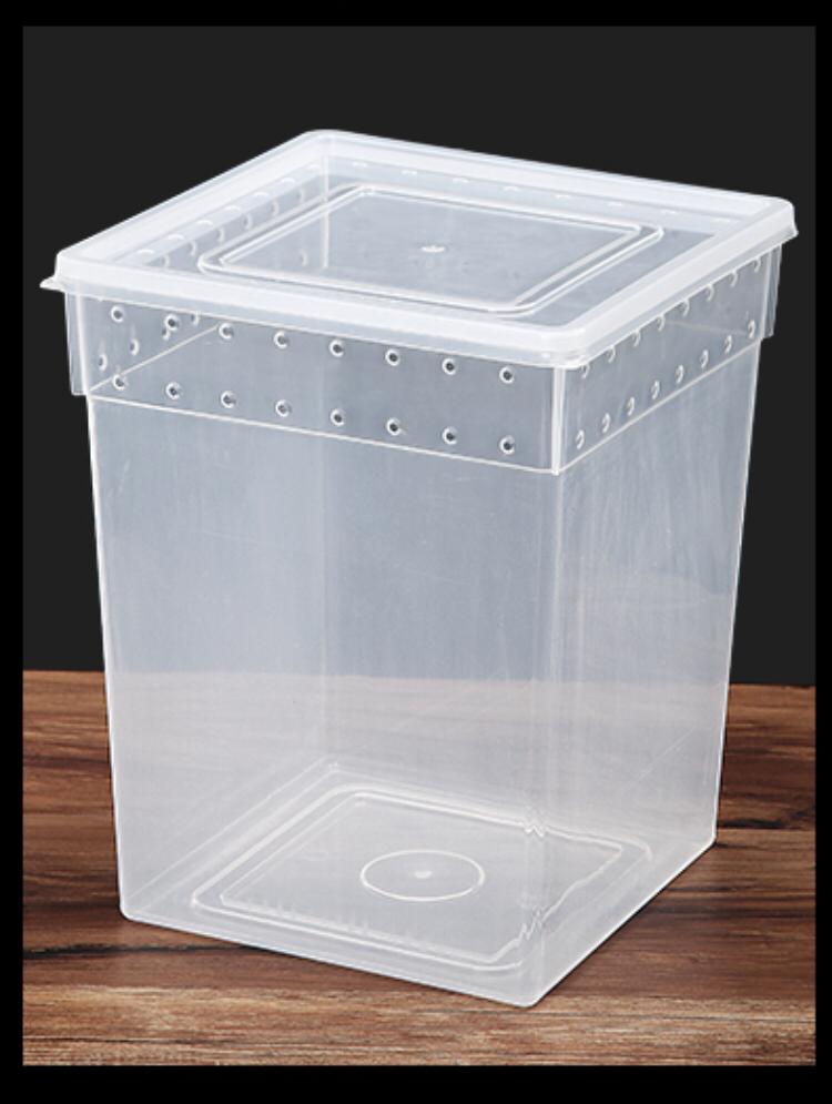 Reptile Stackable Box (Stand-Up) 20 X 20 X 25(H)cm – Reptilemart.ca
